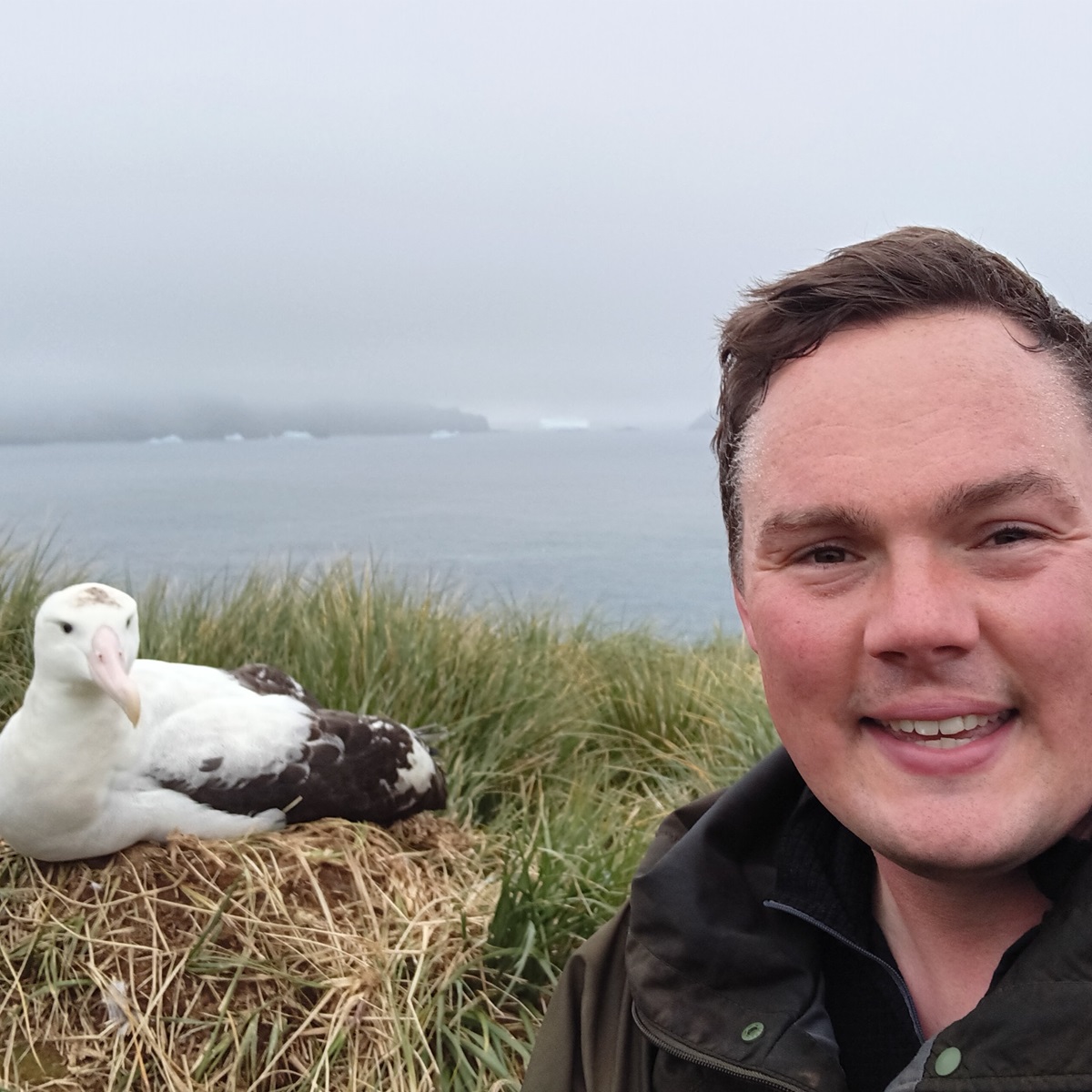 Observing Seabirds: Understanding Oceans | Farallon Institute